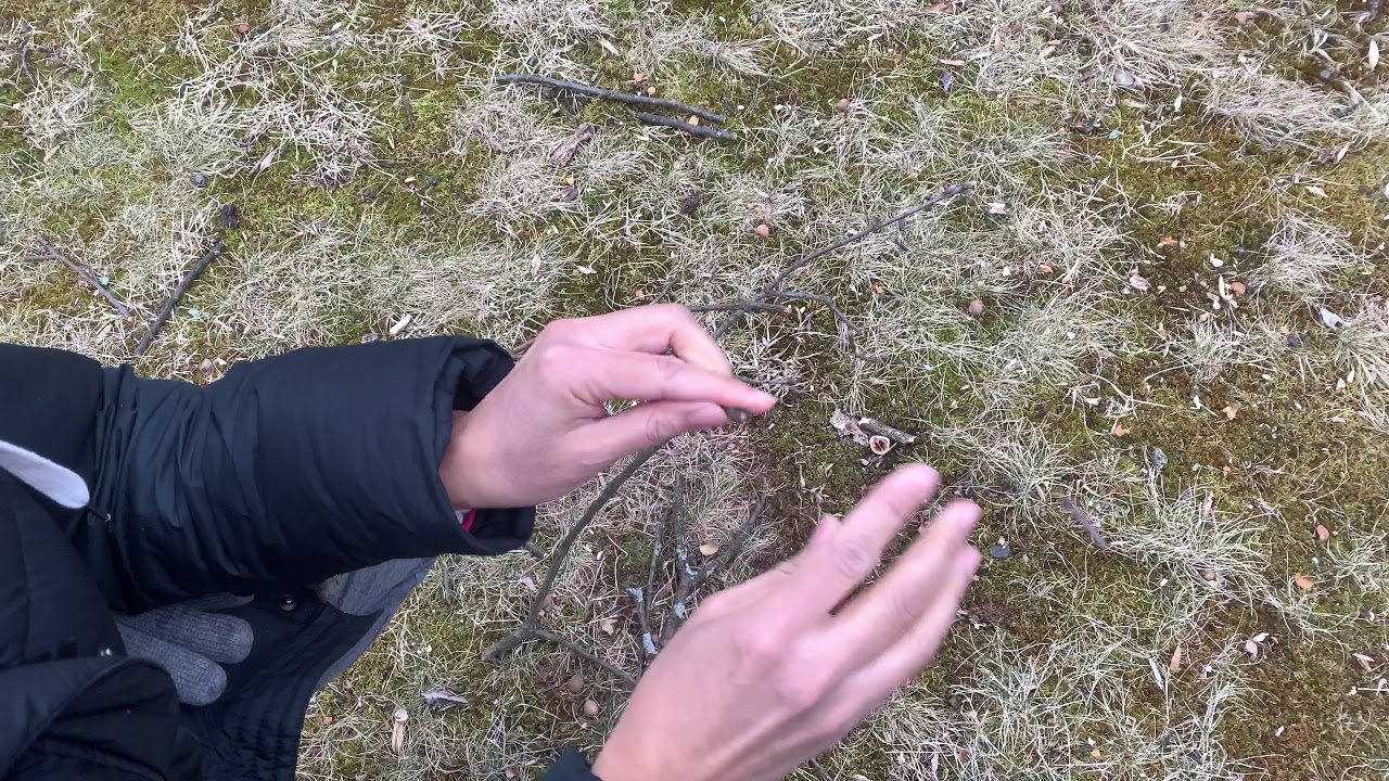 Breaking Twigs - YouTube