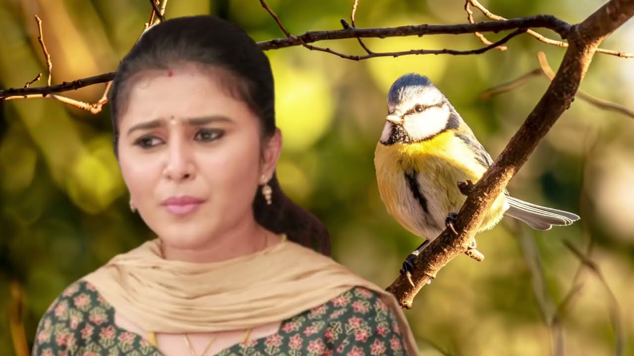 Pandian Store 2 Serial Upcoming Episode Review January 30th | 2026 ...