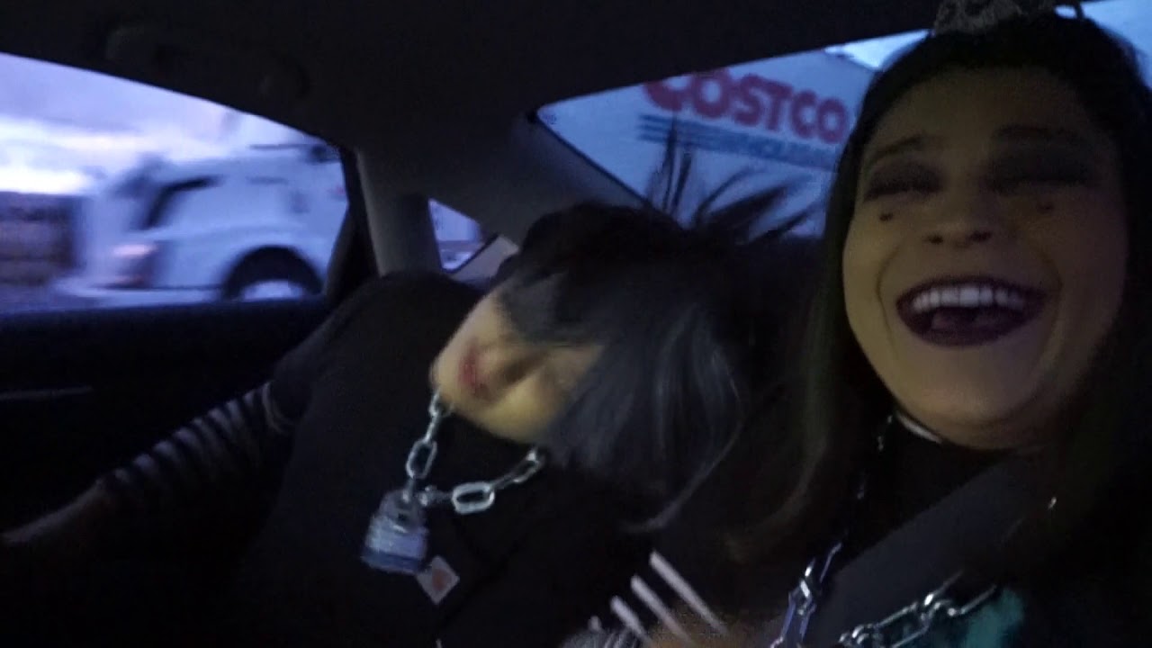 TURNING INTO EMO SHREK AND FIONA!!! | VLOG 16 - YouTube