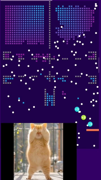 dancing cat - YouTube