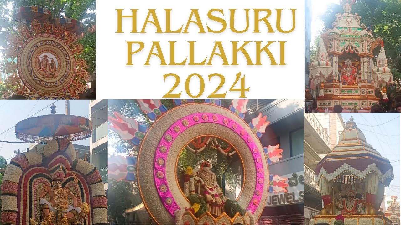 Halasuru Pallakki 2024 | My Day Lifestyle - YouTube