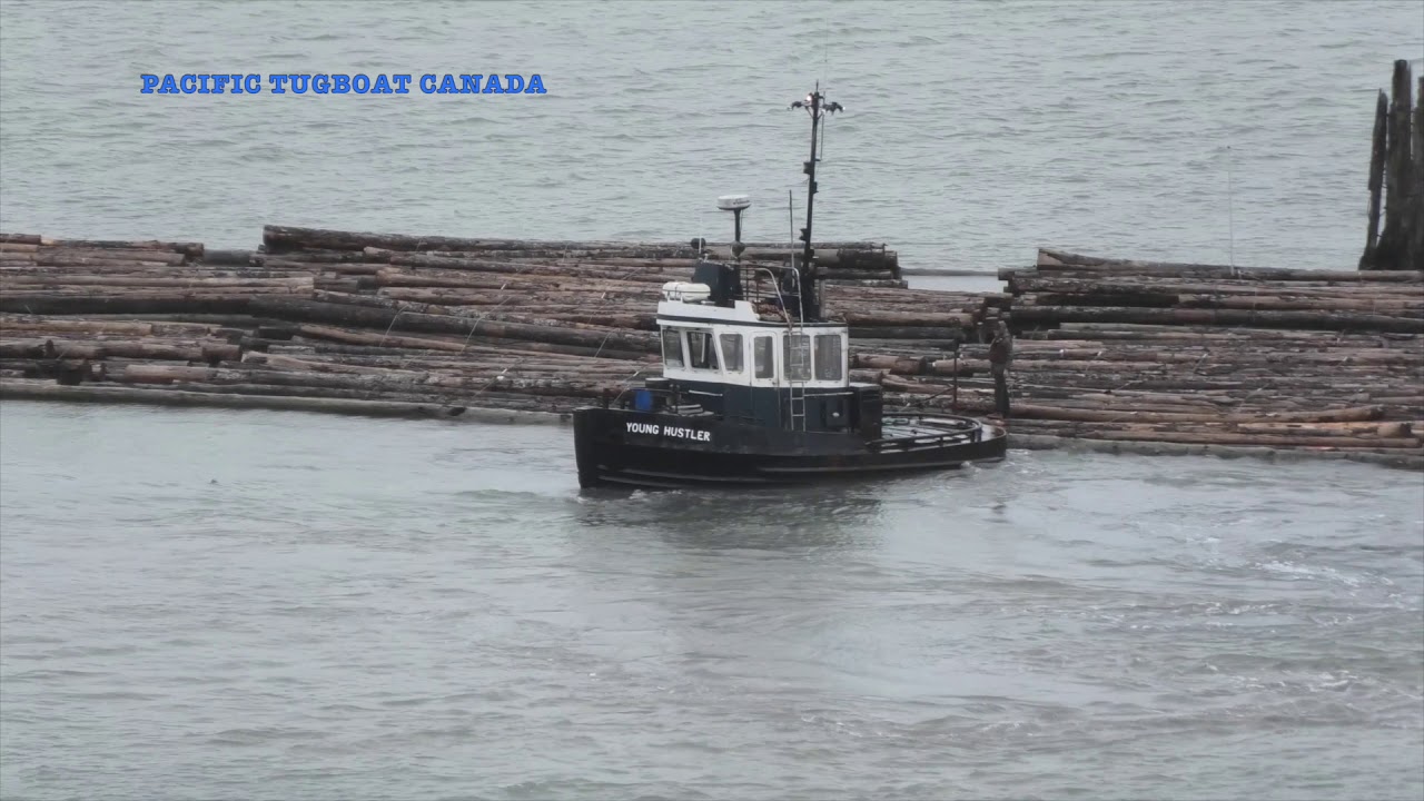 PACIFIC tugboat YOUNG HUSTLER Log Boom 2019 - YouTube