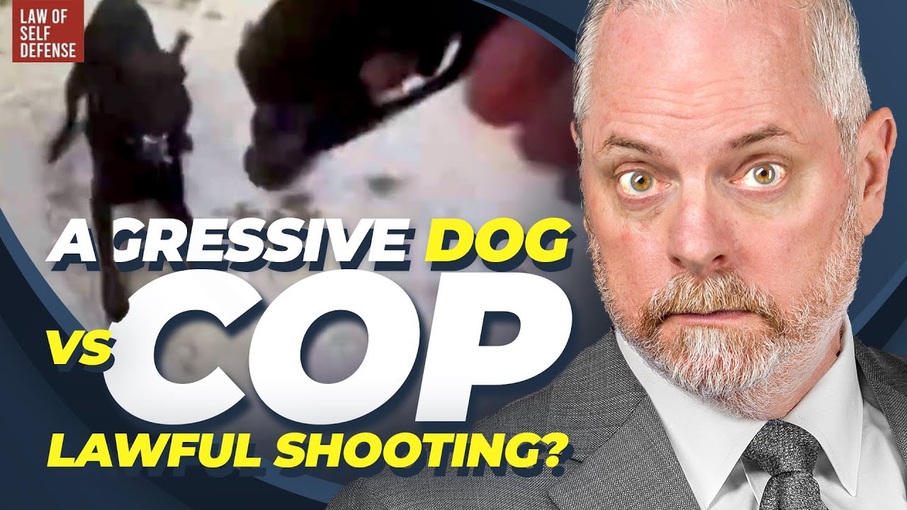 Cop BL@MS Family Dog in Iowa! Lawful? Like It or Not, Yes! - YouTube