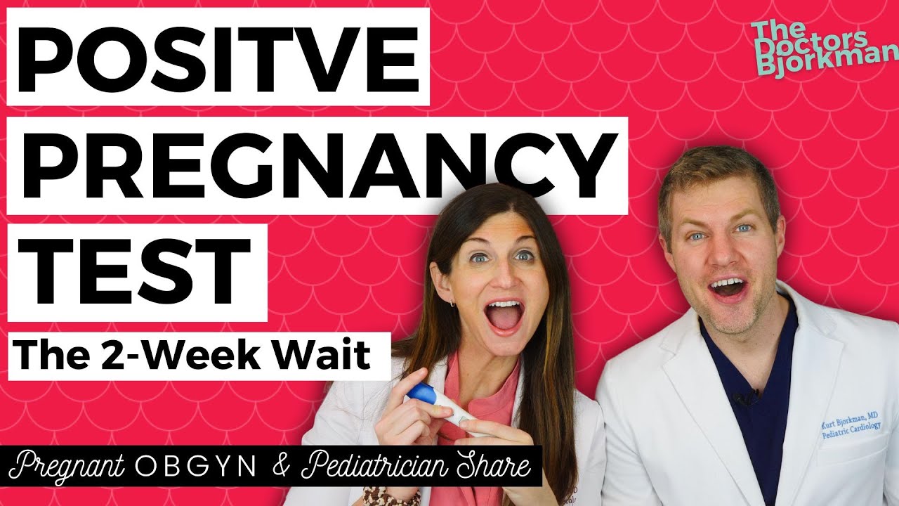 THE TWO WEEK WAIT: OB/GYN and Pediatrician Explain - YouTube