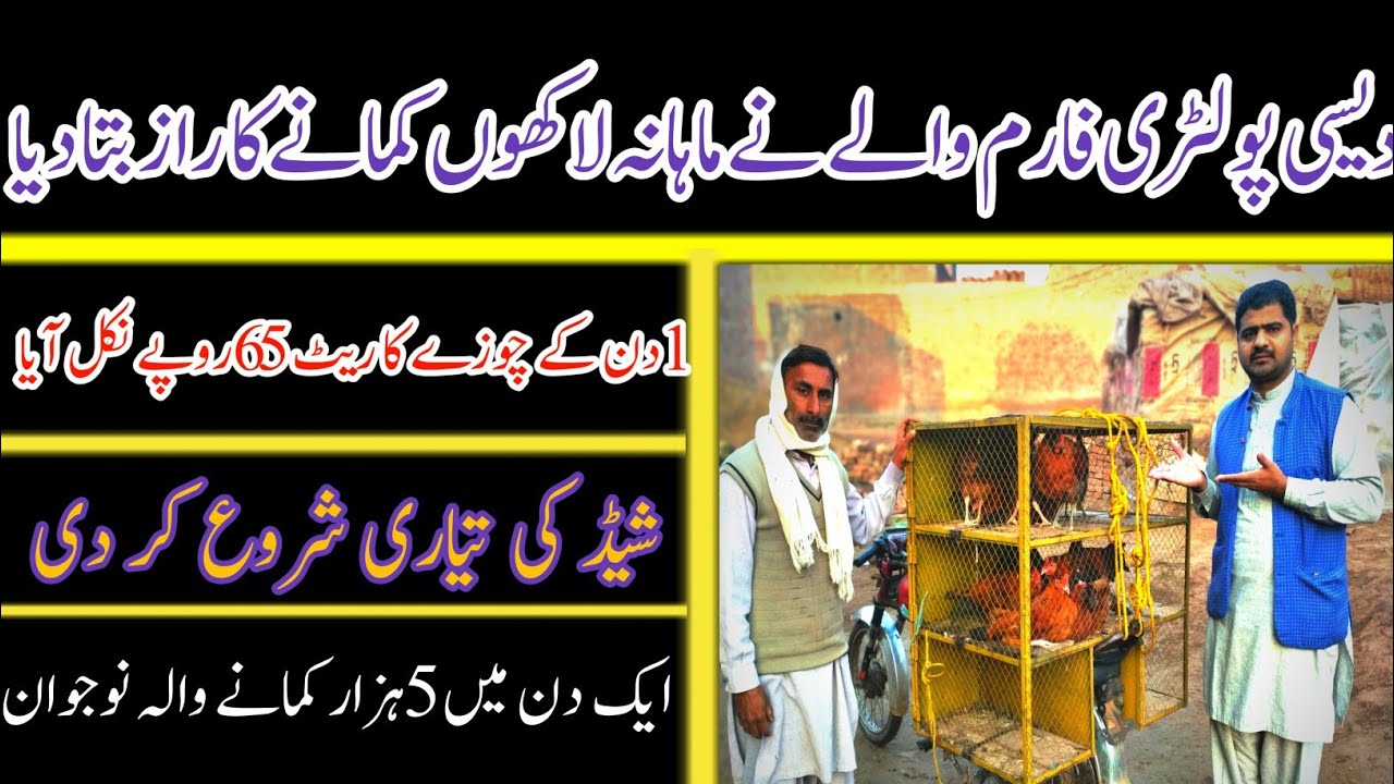 Mahana Lakho Pessay Kmany Ka Raaz Bta Diya | 1 Din k choozay Ka Rate 65 ...