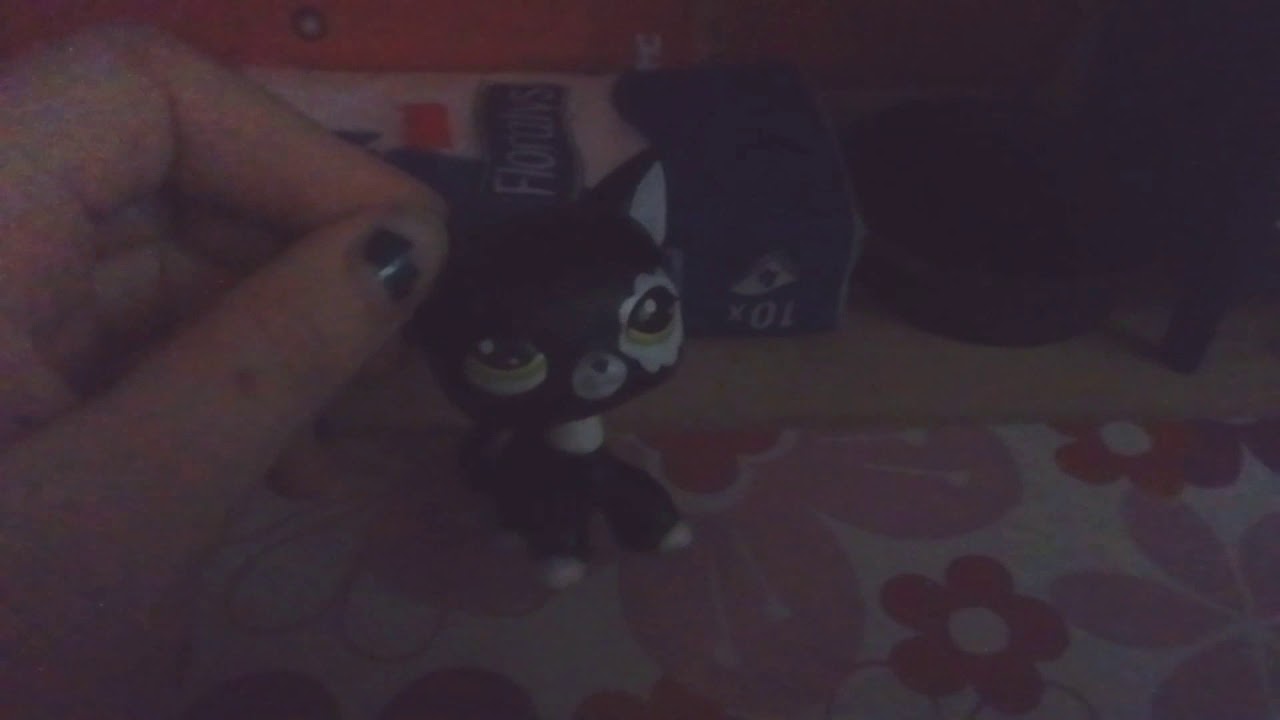 Lps 10 typů návštěv - YouTube