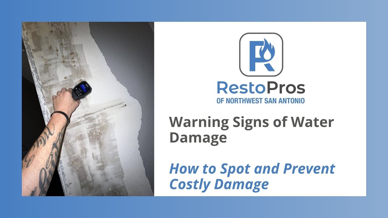 Warning Signs of Water Damage: How to Spot and Prevent Costly Damage ...