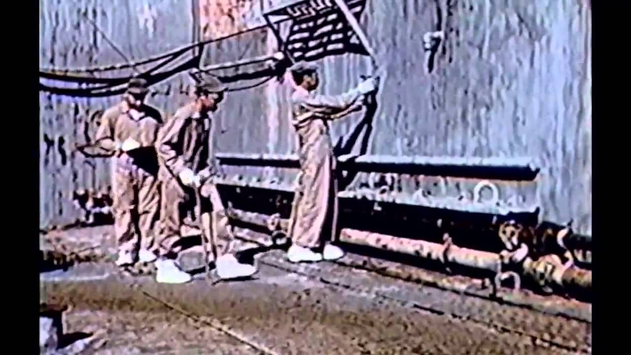 Military Effects Studies on Operation Castle - 1954 American Hydrogen ...