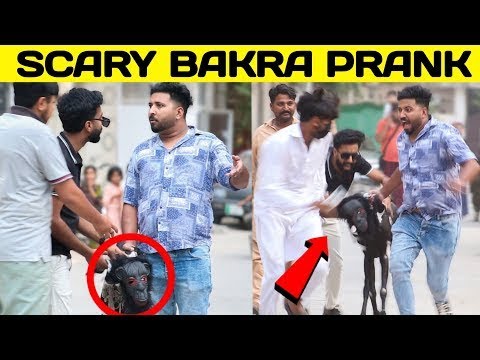 Scary Bakra Prank on Eid 😂 | Sharik Shah & Iqbal Malik x Mr.HaanoG ...
