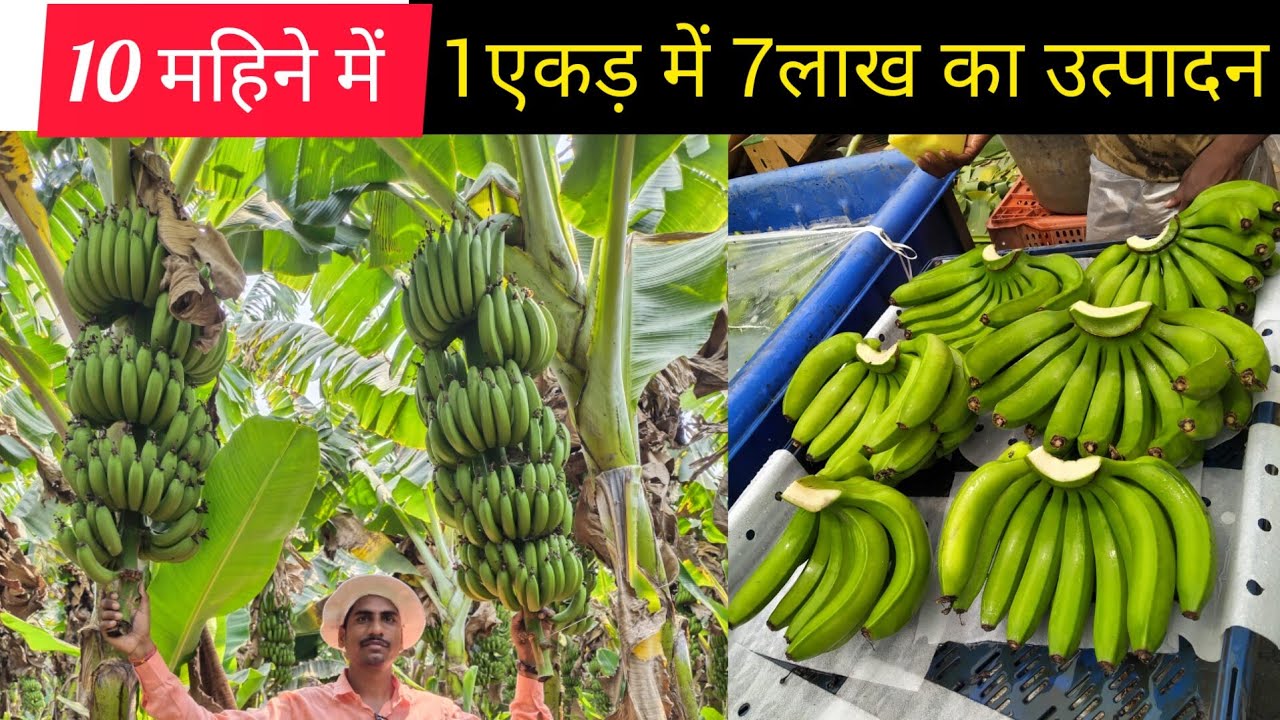1 7 In 1 Akar Land 7 Lakh Rupees 1-7-in-1-akar-land-7-lakh-rupees