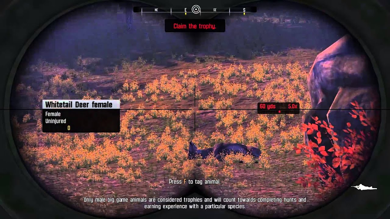 Cabela's Big Game Hunter Pro Hunts - Intro & Tutorials [PC] - YouTube