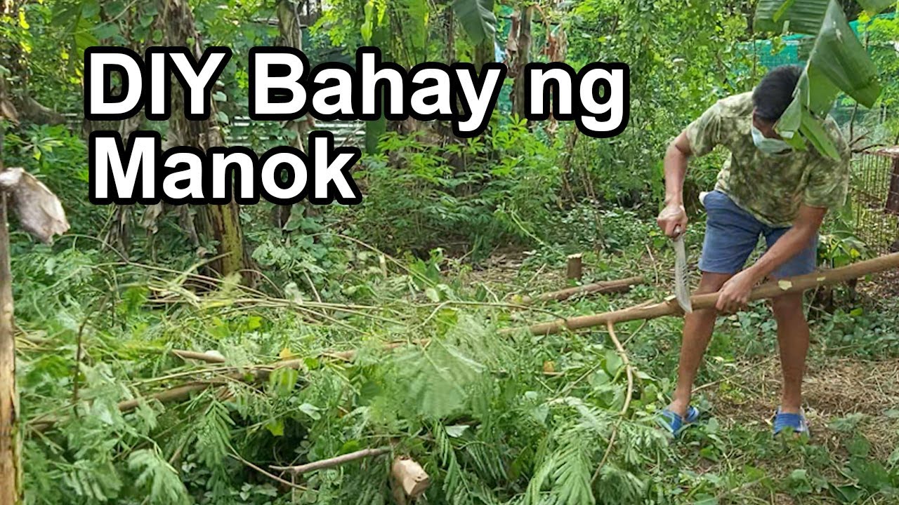 VLOG #100 | Free Range Chicken: Simple no cost na bahay ng mga manok ...