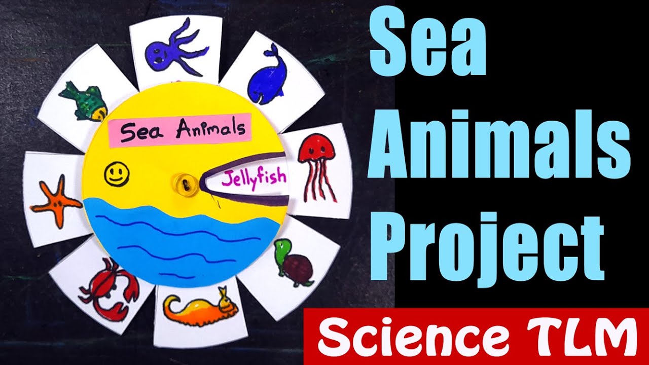 how to make Sea Animal project | Primary School Project | Science tlm ...