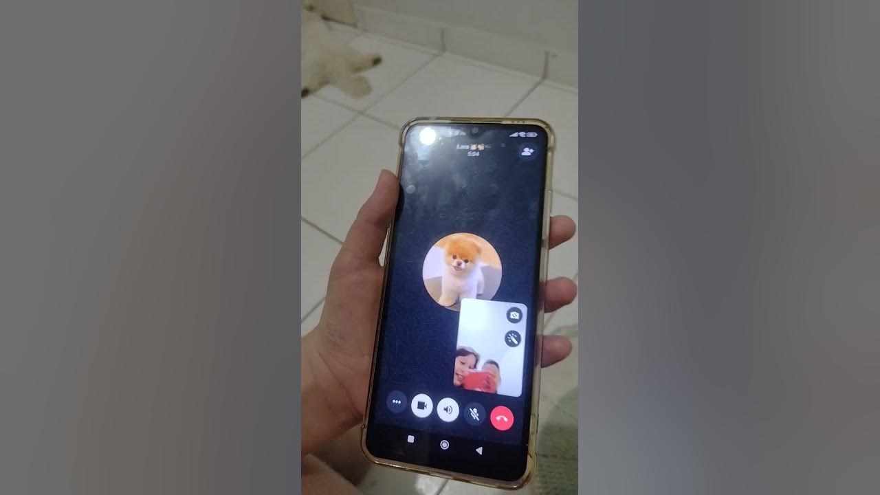 o os primos ai - YouTube