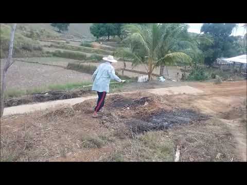 ALFRED NEVER STOP DREAMING FOR HIS BEAUTIFUL LIFE AHEAD?? EXPAT LIVING ...