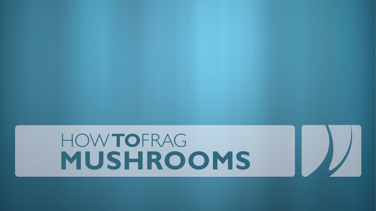 How to Frag Mushrooms - YouTube