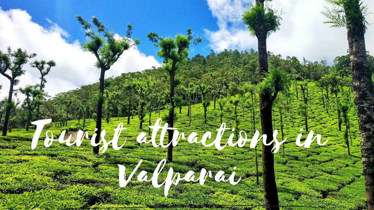 Valparai Tourist Destinations | tourist attractions Valparai Anaimalai ...