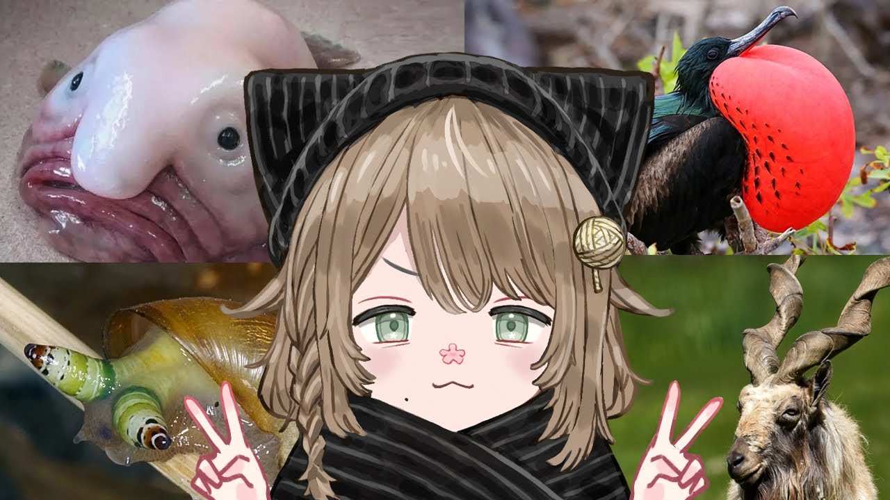 【DRAWING】Turning bizarre creatures into Vtuber designs!【Tabby | Vtuber ...