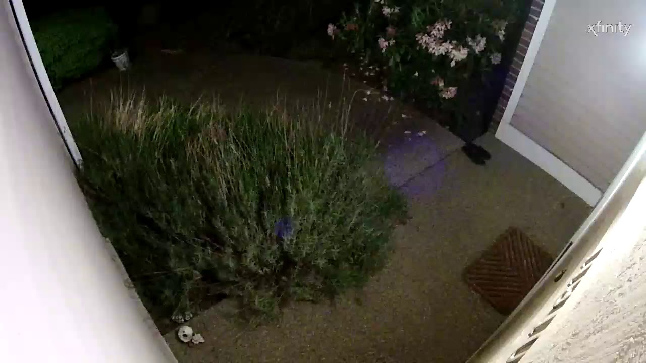 White Orb recorded by Security Camera - YouTube