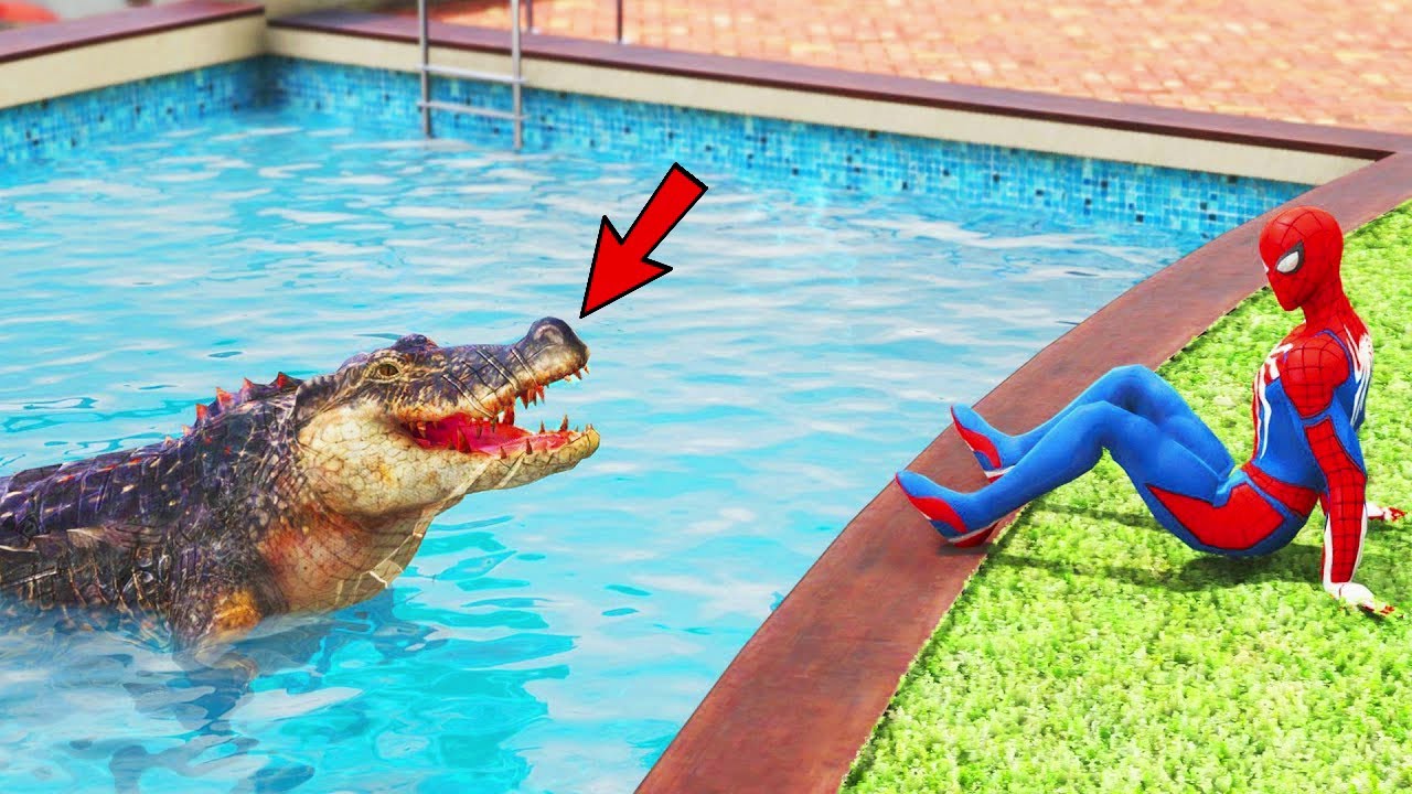 Spiderman vs Crocodile FIGHT In Gta 5 - Epic Battle - YouTube