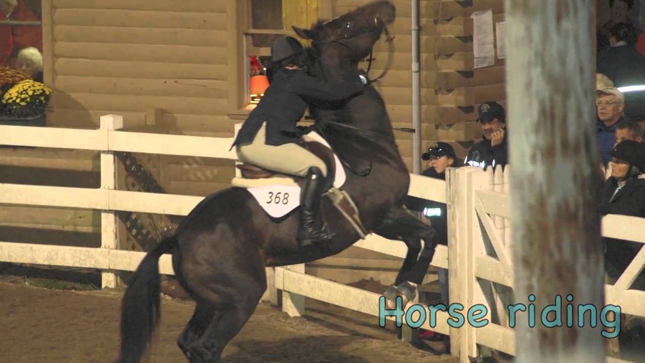 Cheer VS. Horse riding :) - YouTube
