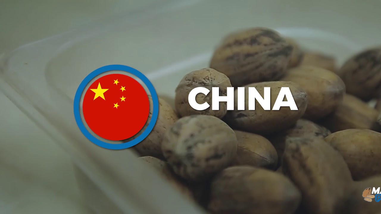 MACO PECAN INSTITUCIONAL - INGLES - YouTube