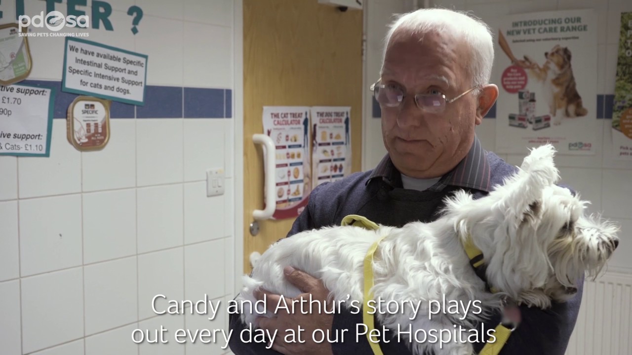 The making of PDSA's #SaveAStar TV advert - YouTube