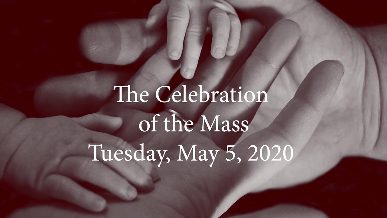 St. Andrew Apostle Mass, Tuesday, May 5, 2020 with Father Dan Leary ...