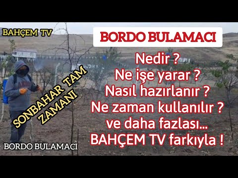 Bordo bulamacı Ağaçları hastalıklardan korumak için Ne zaman ve Nasıl kullanılmalıdır ?