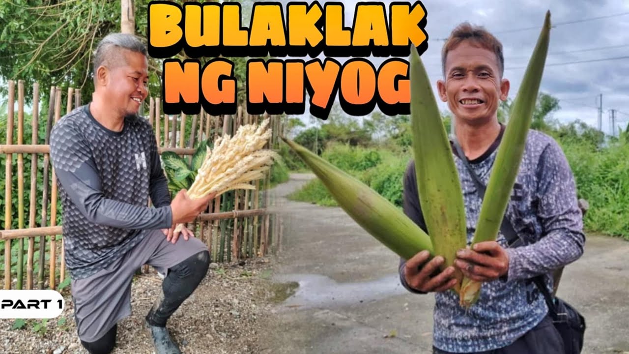 P1-Bulaklak ng Niyog - EP1445 - YouTube