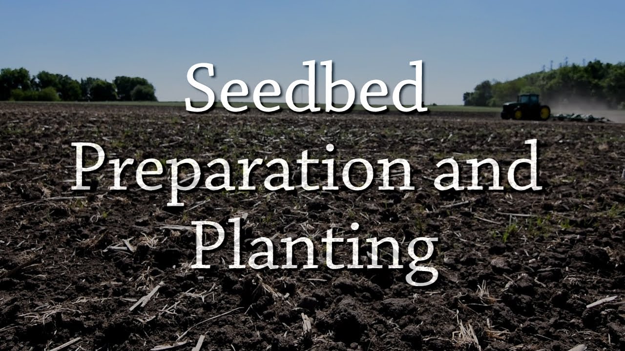 Seedbed Preparation And Planting Organic Weed Control YouTube seedbed-preparation-and-planting-organic-weed-control-youtube