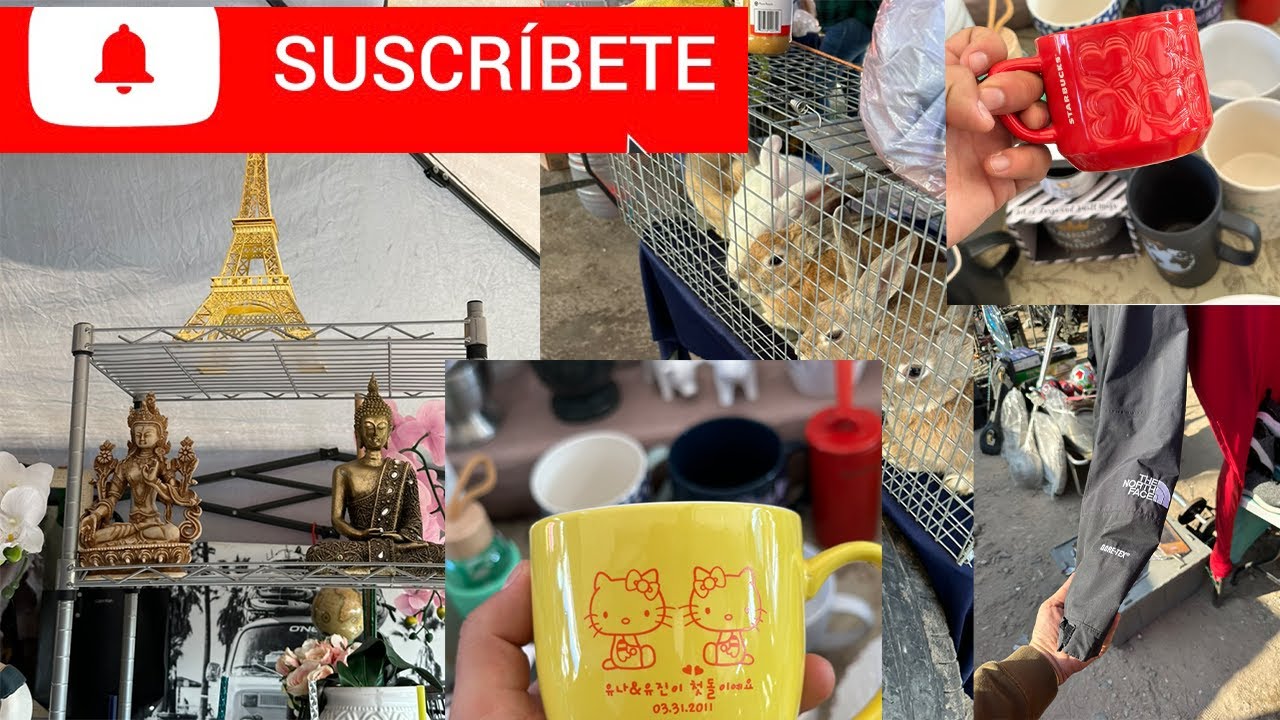 Recorriendo 6 Kilometros de un mercado Sobre Ruedas En #tijuana - YouTube