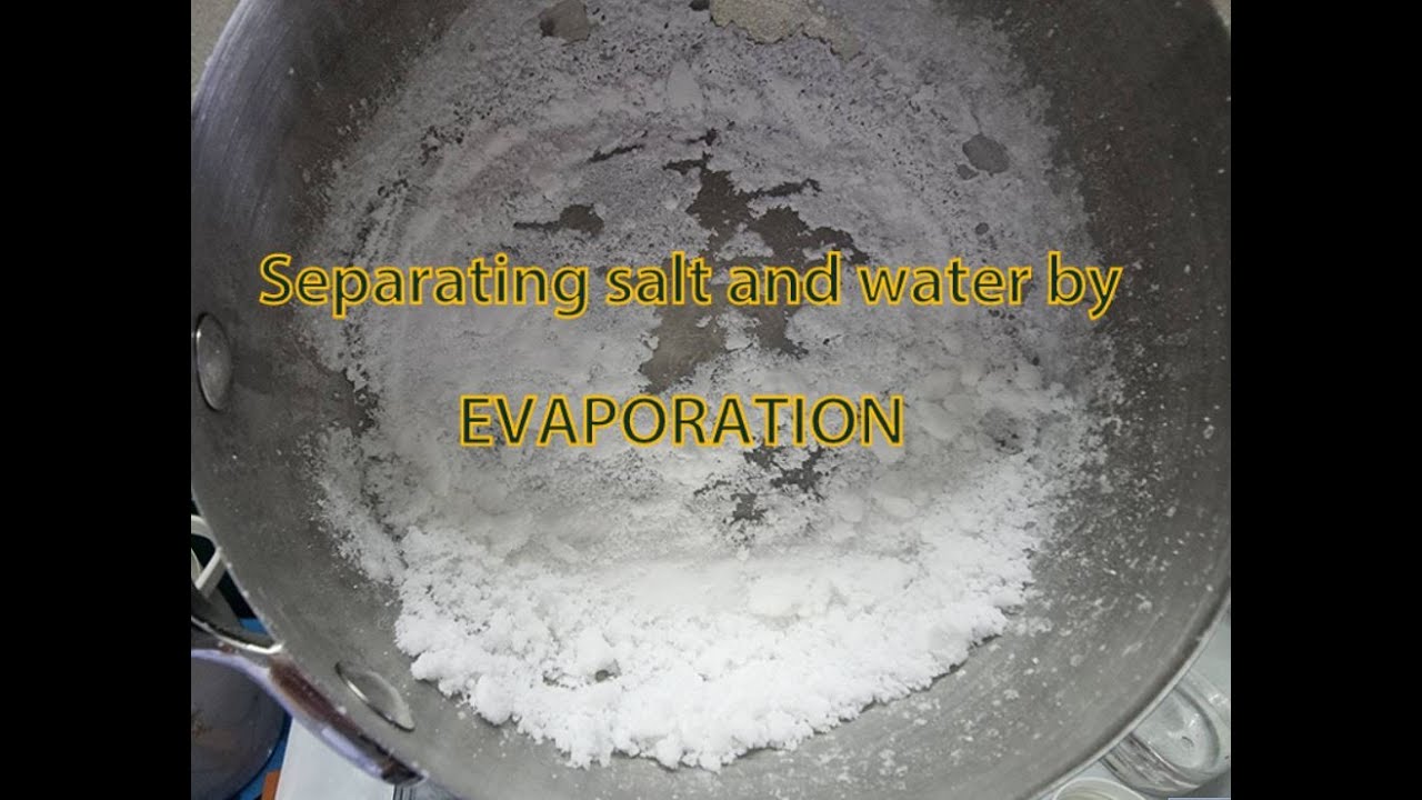 5 Simple Steps to Separate Salt from Water: A Fun Science Lab ...
