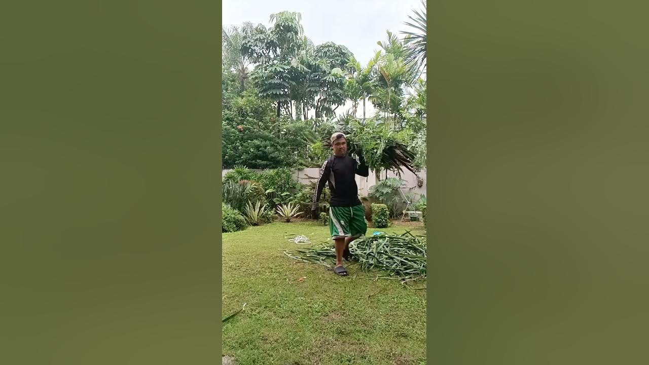 mag linis muna tayo ng halaman habang wala pasok - YouTube