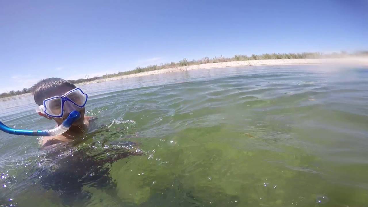 Spearfishing uvalde tx tilapia - YouTube