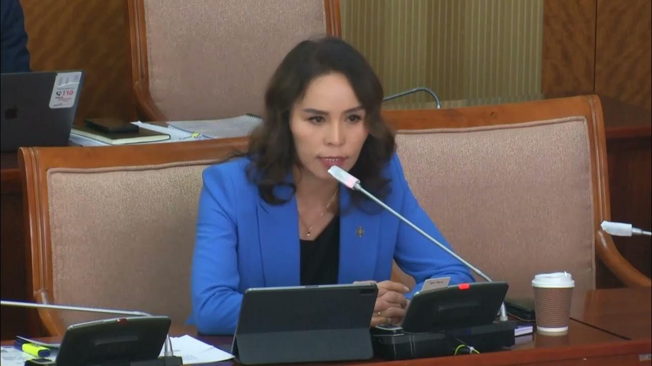 Ц Мөнхцэцэг Хүн ам газар нутгийн төлөөллийг хангахын тулд холимог