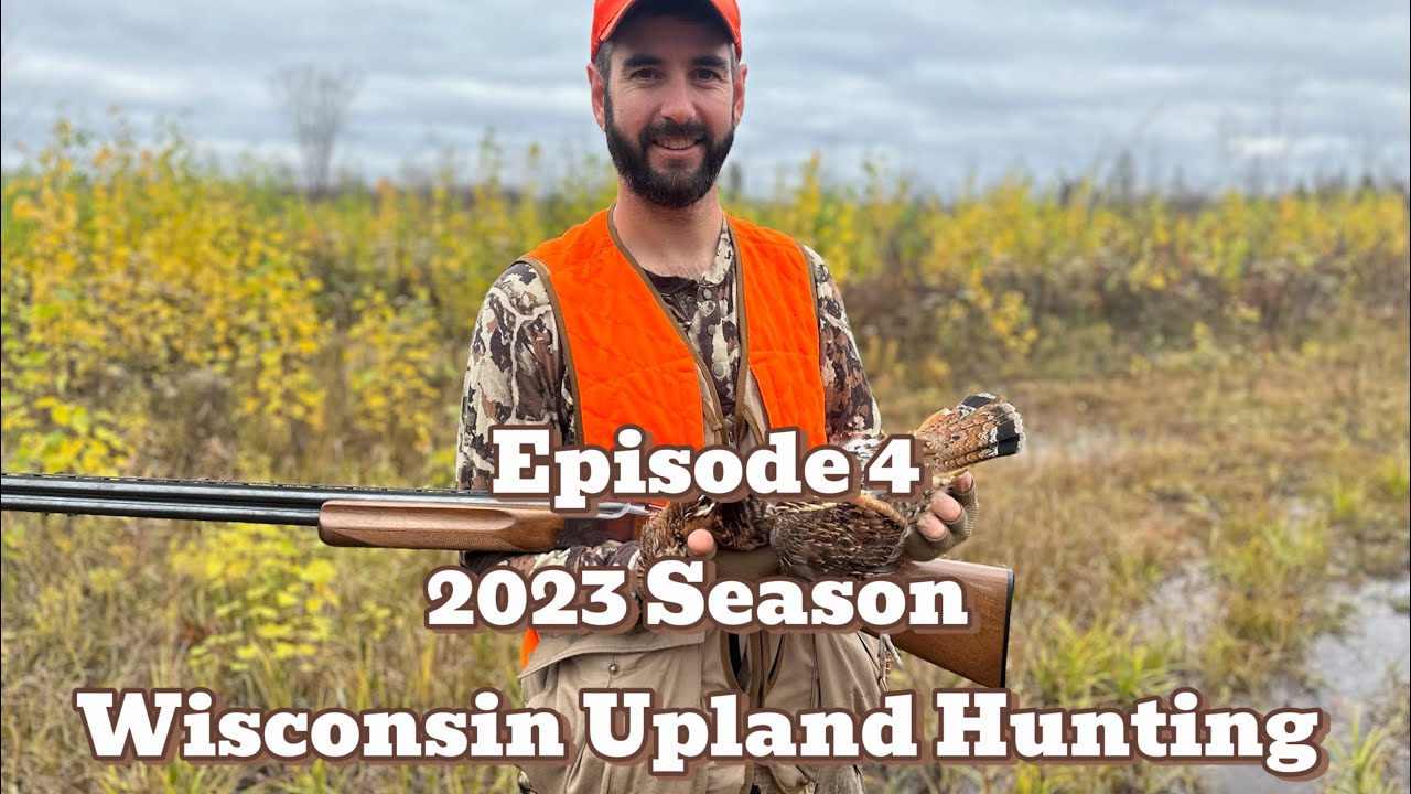 Dog Days of Wisconsin Grouse Hunting - 10/23-26/23 - YouTube
