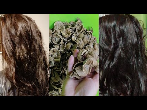 Ceviz kabuğu ile saç nasıl boyanır // Saç kuruluğu için maske