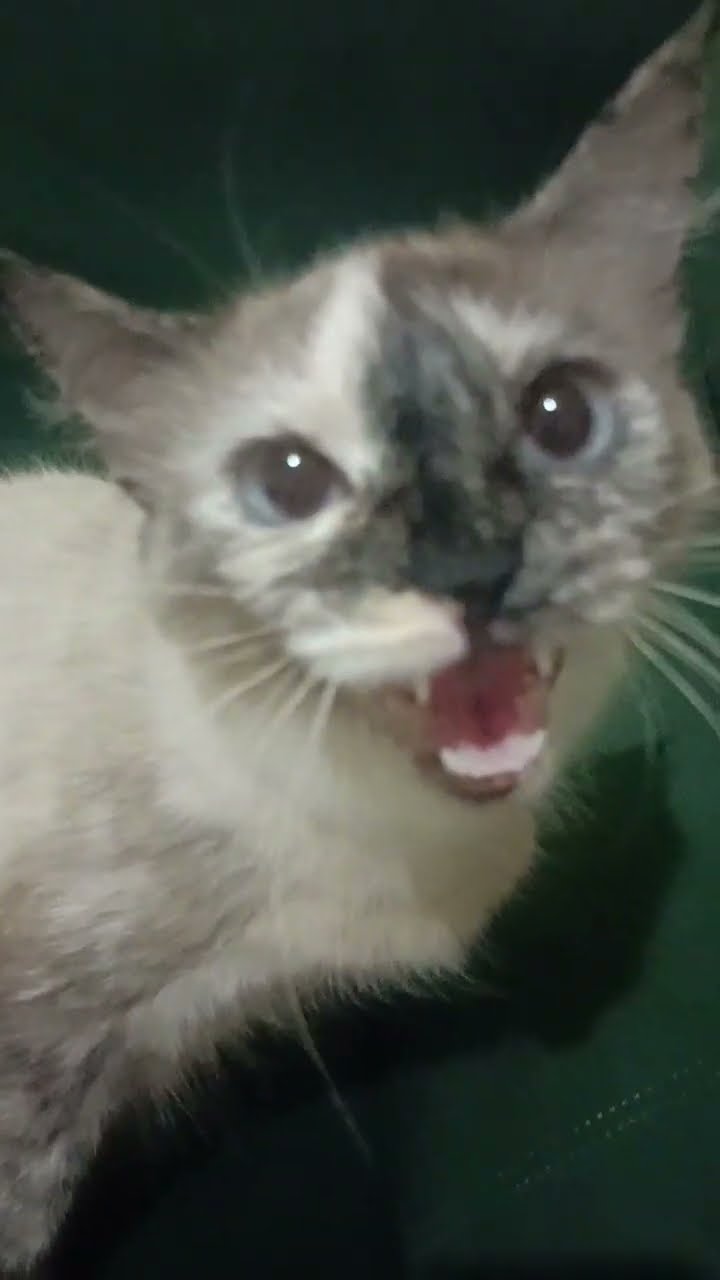 6 de setembro de 2024 - YouTube