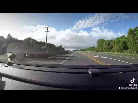 Beautiful Morning Driving - YouTube