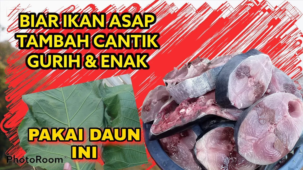 Cara Buat Ikan Tongkol Asap Pakai Daun || Agar Ikan Semakin Enak Gurih ...