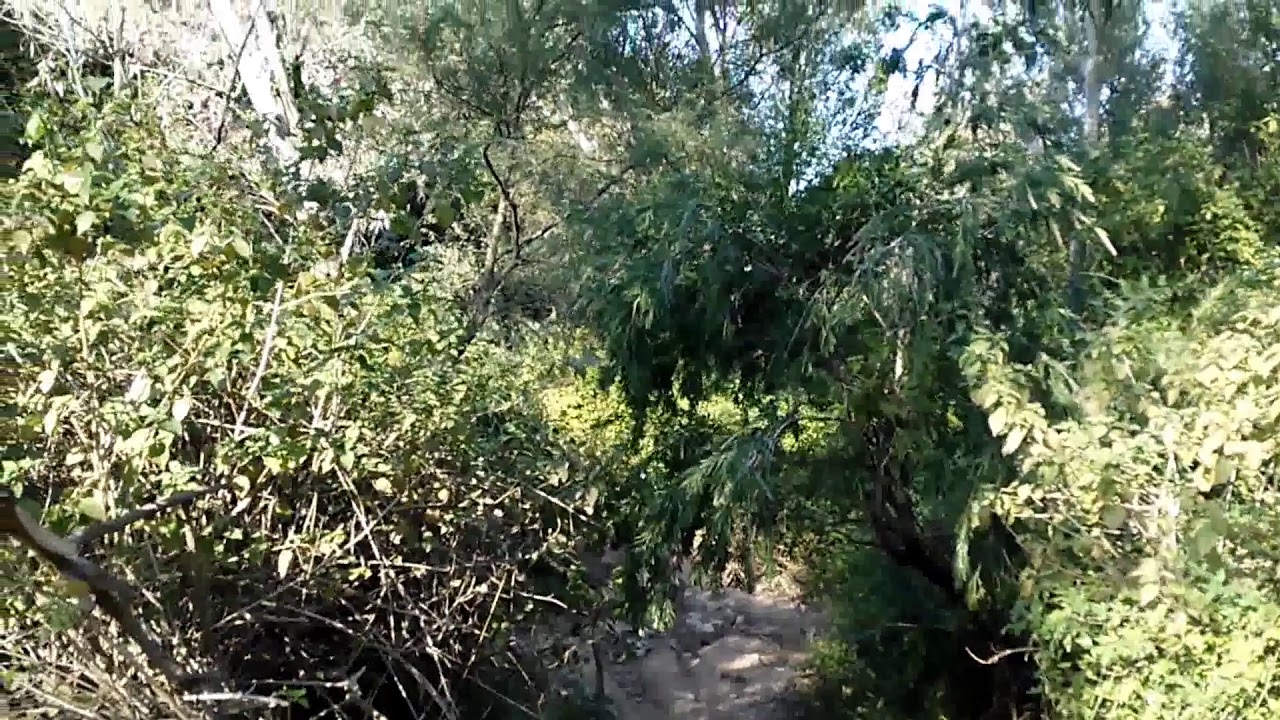 Beautiful Simly dam|Simly dam best place|Samli dam near lehtrar road ...