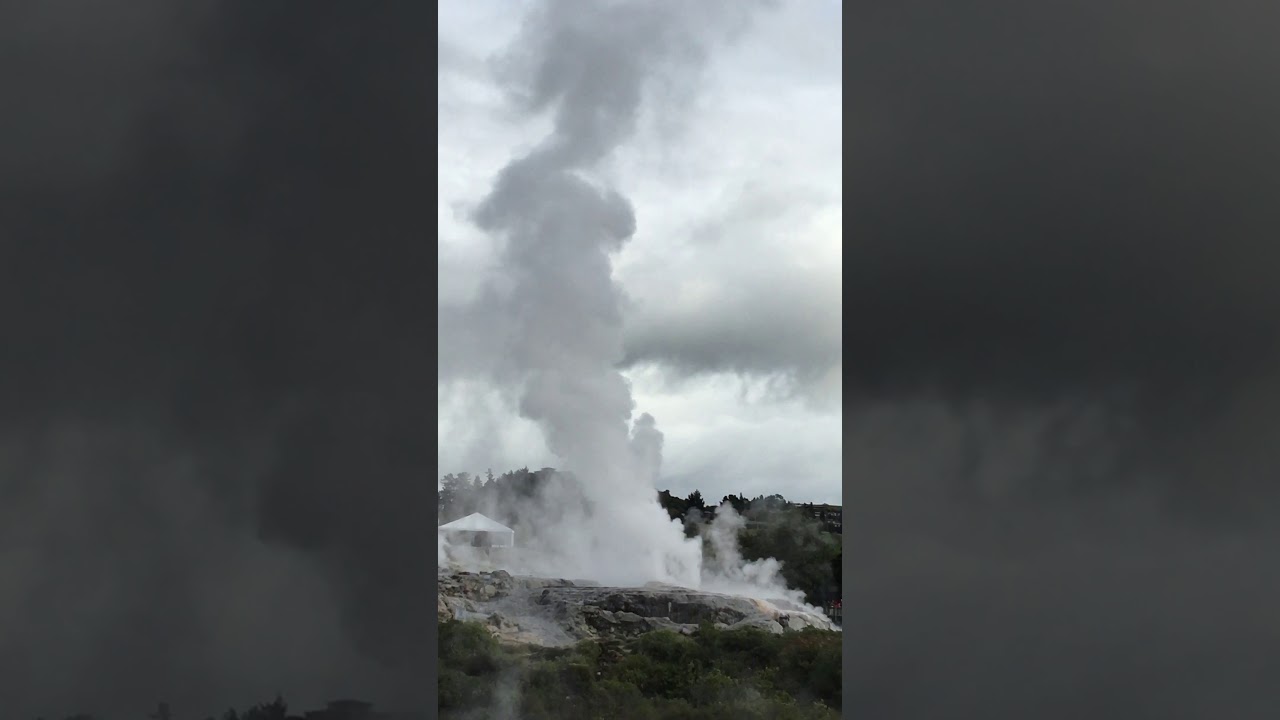 Active geyser in NZ - boiling water being spurted out of the ground ...