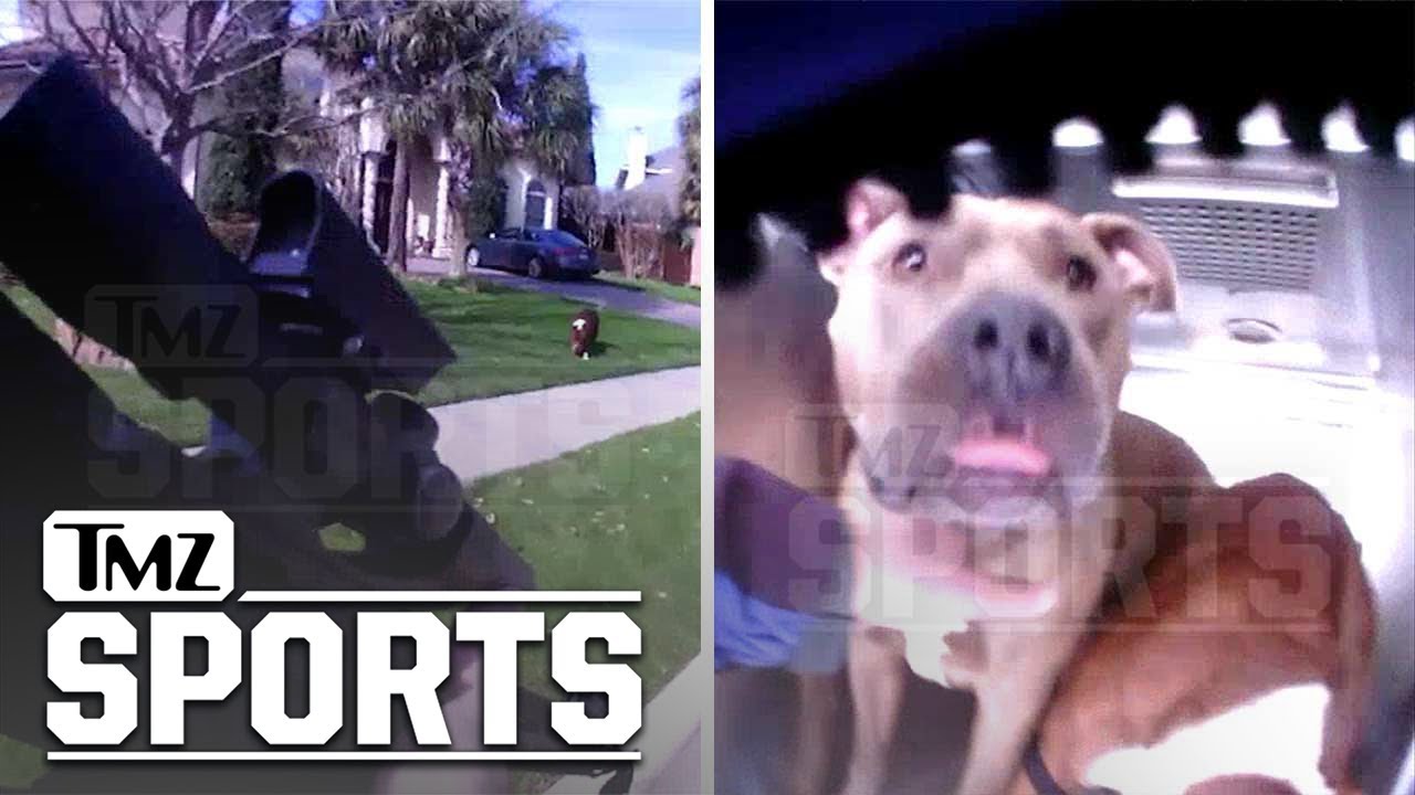 Dak Prescott Dog Attack Video, Cops Drew Assault Rifle On Pets | TMZ ...