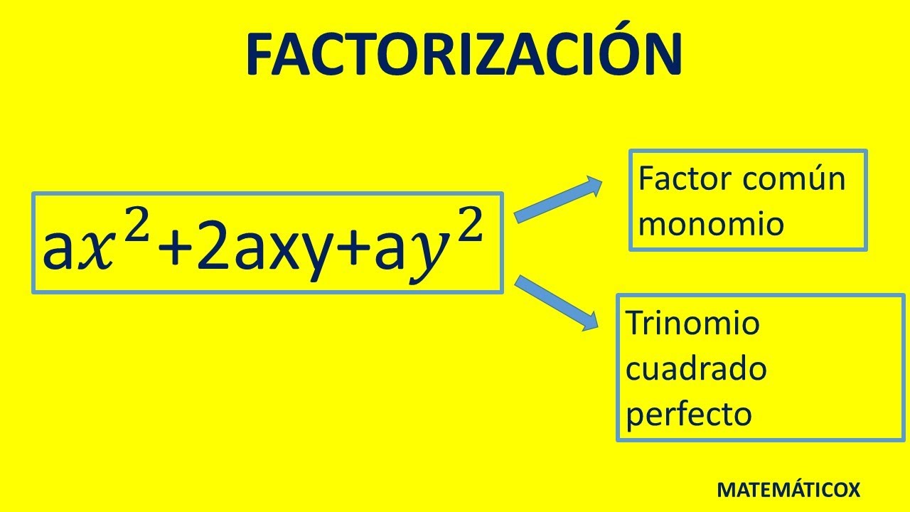 214 FactorizaciÓn Youtube 8385