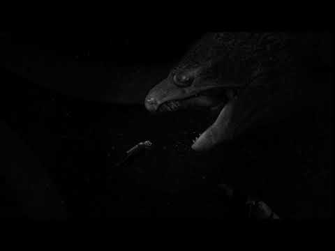 Anantashesha - YouTube