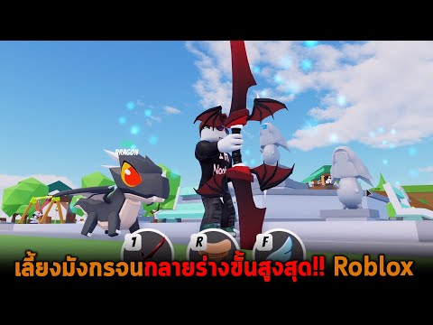 เลี้ยงมังกรจนกลายร่างขั้นสูงสุด Roblox