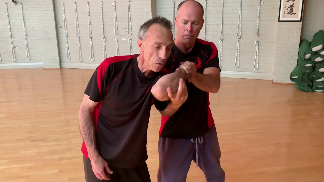 Repulse Monkey Applications (CPL Taijiquan) - YouTube