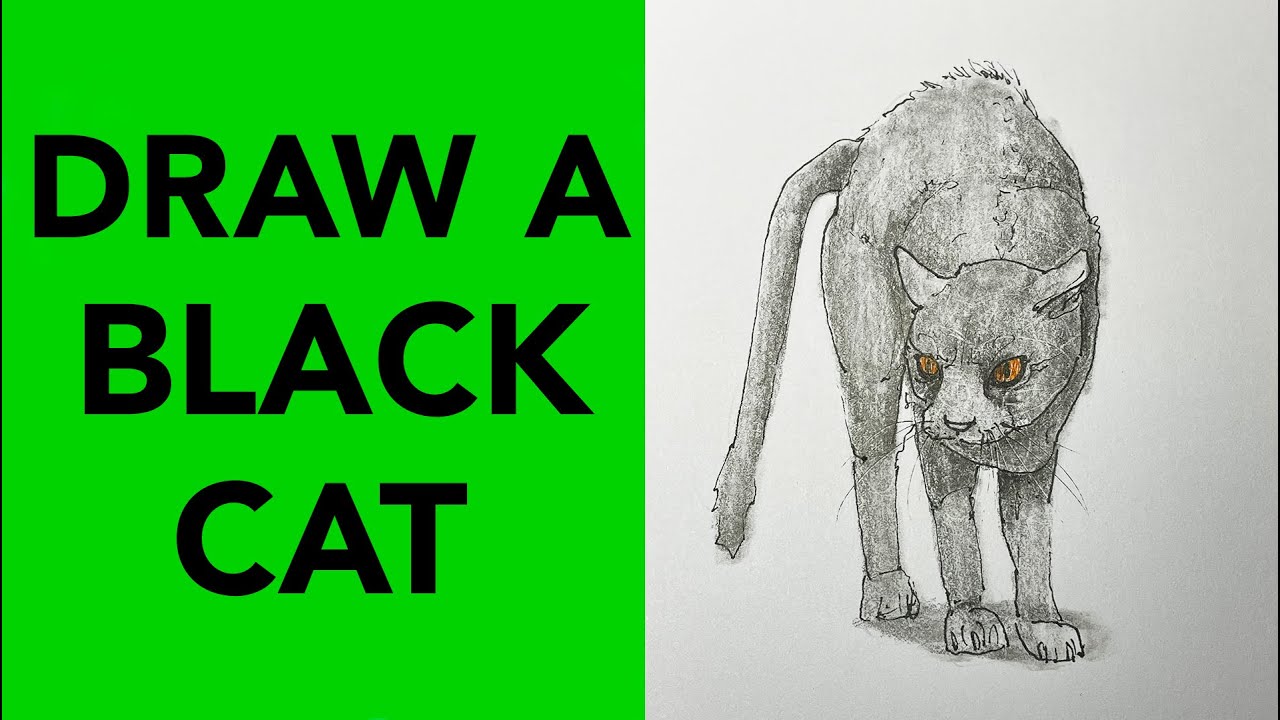 Draw a black cat! 🐈‍⬛ | Drawing Tutorials - YouTube