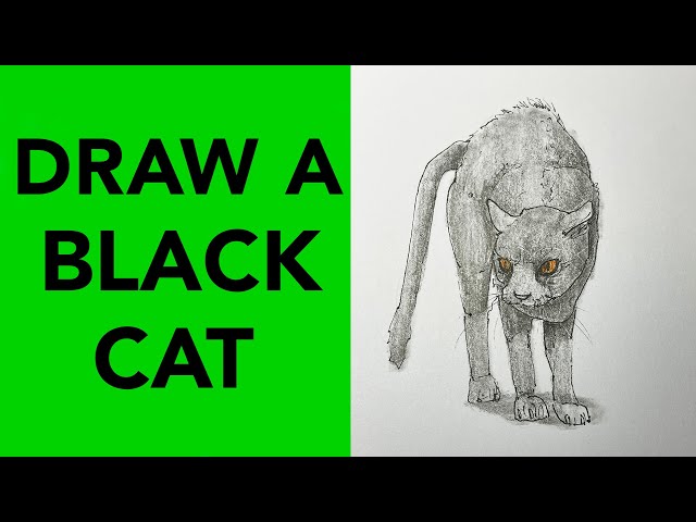 How To Draw A Small Black Cat